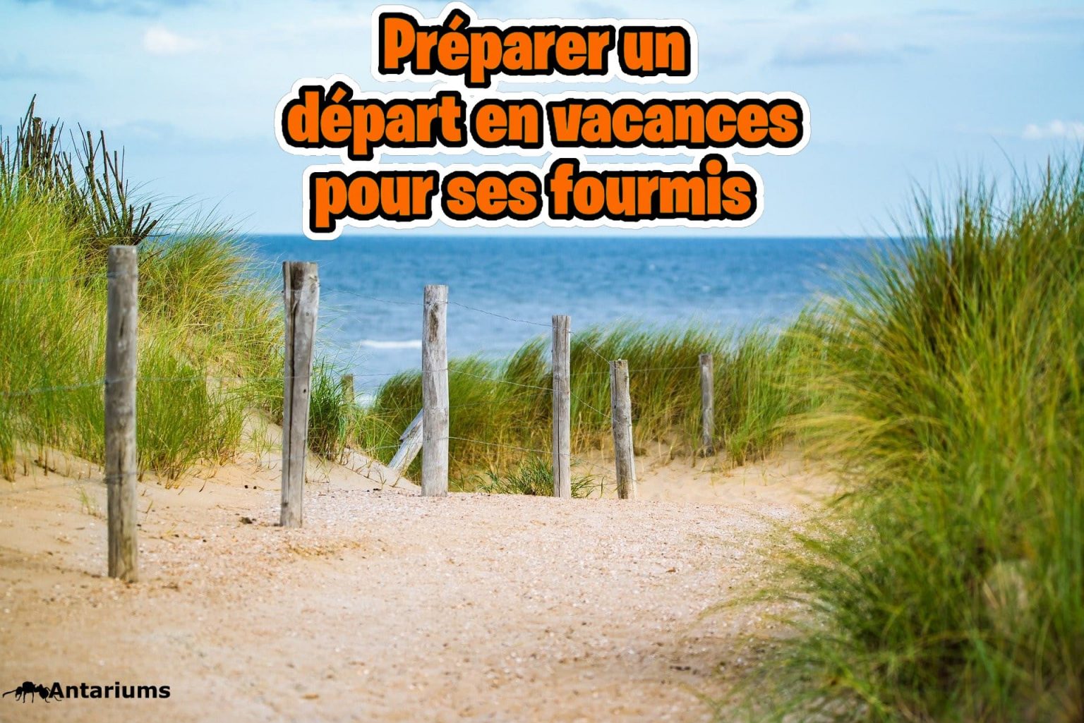 🏖️ Guide : Préparer un départ en vacances - Antariums v5